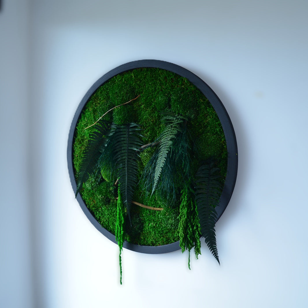 Products – Mossperfect