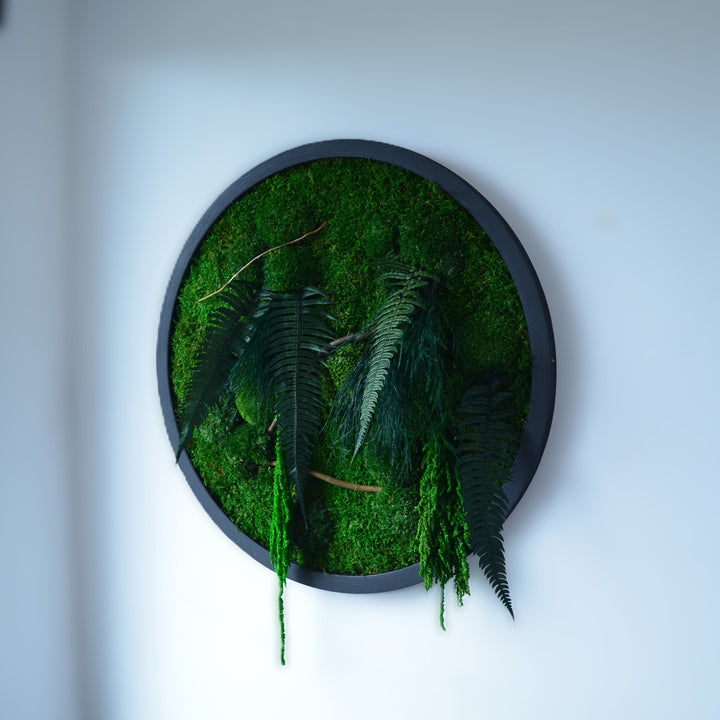 Products – Mossperfect