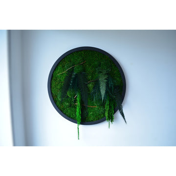 Products – Mossperfect